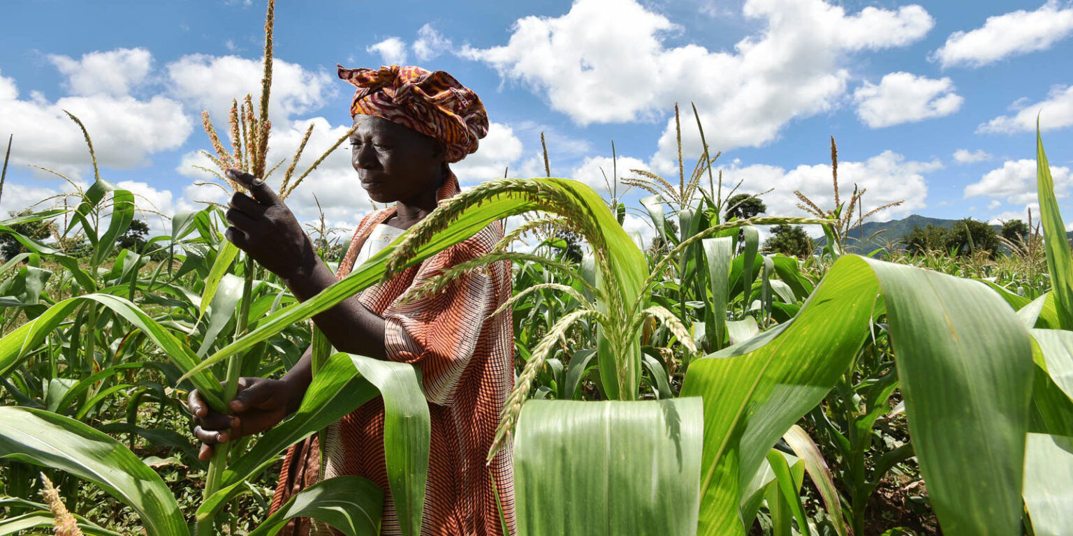 Kenyan agri-tech Pula Secures $20 million in funding